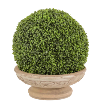 French Topiary - Paysage Home